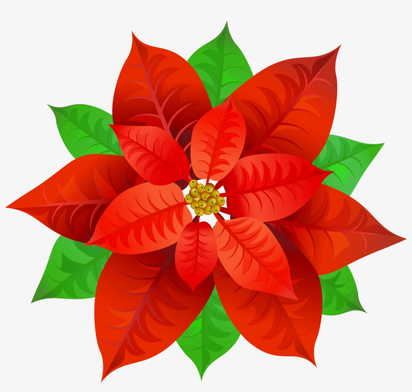 Transparent Png Image Gallery PNG Image | Transparent PNG Free Download ...