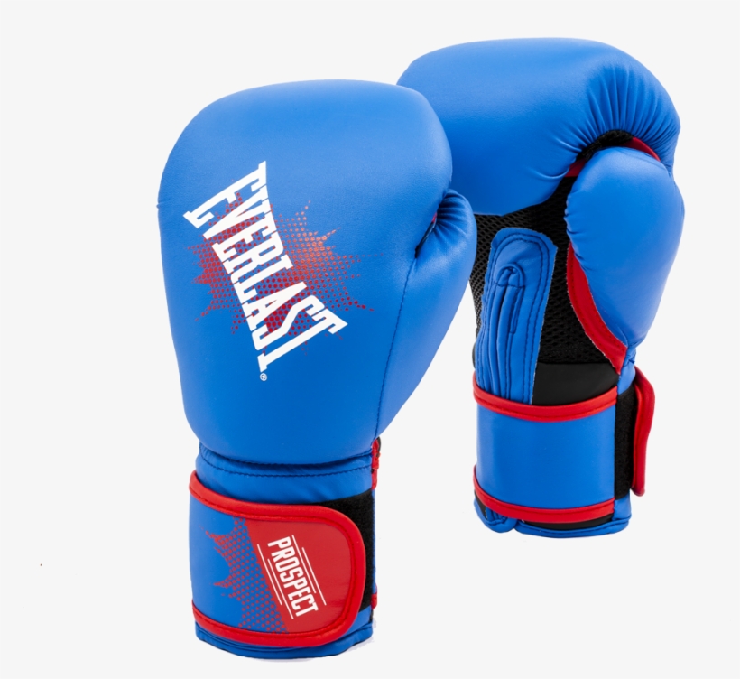 Prospect Youth Training Gloves, Boxing, Kickboxing, - Everlast PNG ...