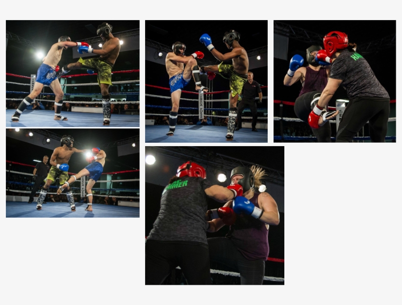 Picture - Professional Boxing PNG Image | Transparent PNG Free Download ...