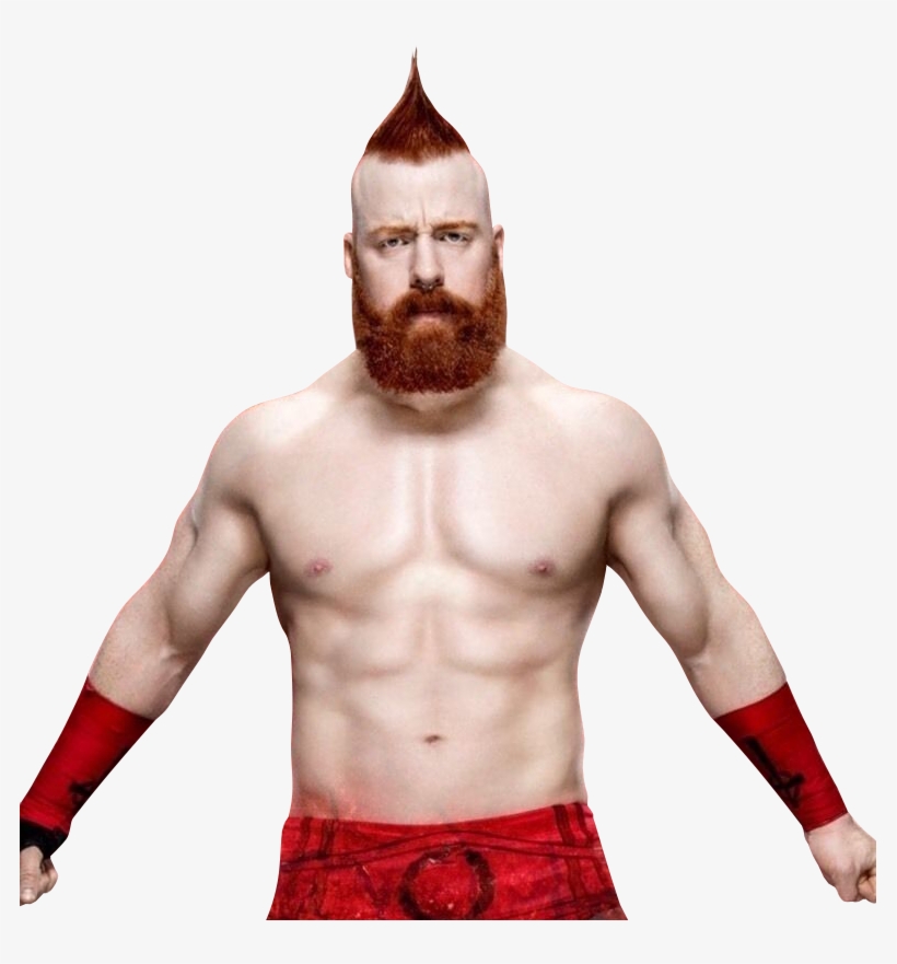 Download Sheamus Png Hd - Cricket Commercial With Sheamus | Transparent ...