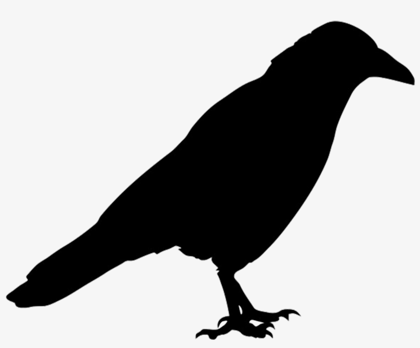 Download Raven Silhouette Png For Kids - Crow Silhouette Png ...