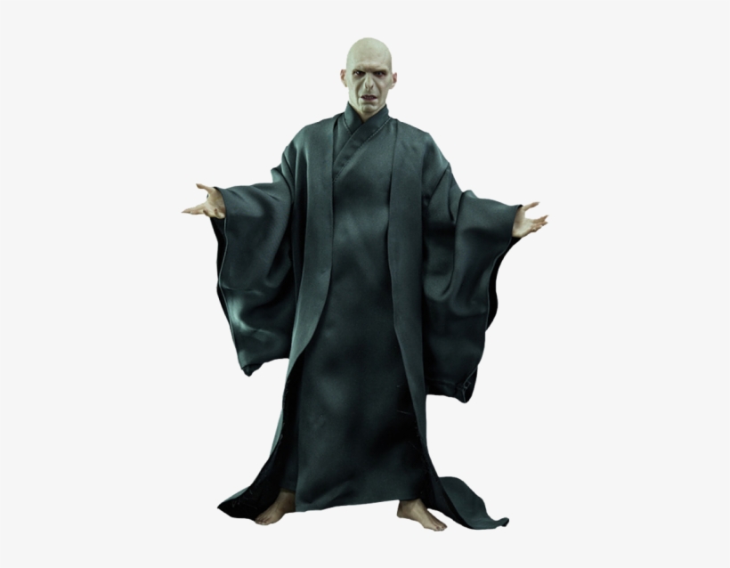 Download Lord Voldemort - Lord Voldemort Full Body | Transparent PNG ...
