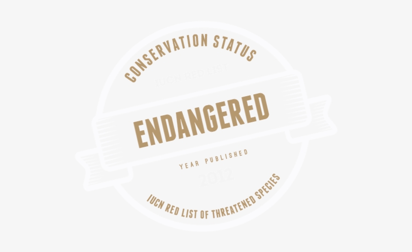 Iucn Red List Of Threatened Species - Am A City Changer PNG Image ...