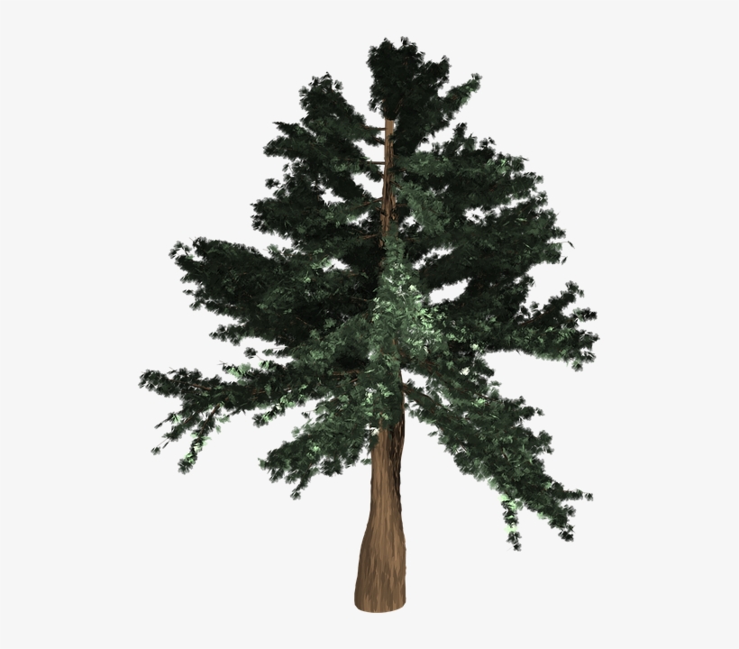 Download General Sherman | Transparent PNG Download | SeekPNG