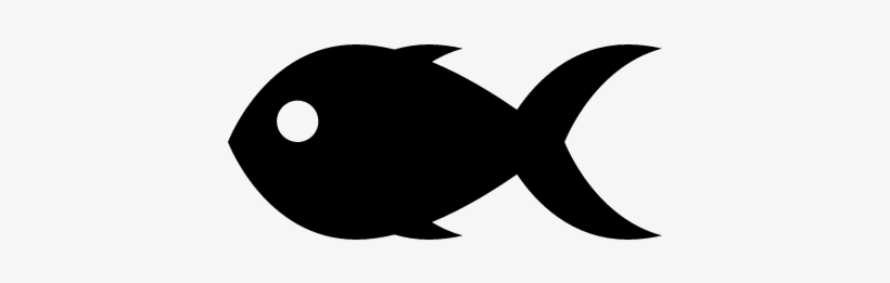 Download Fish Vector - Fish | Transparent PNG Download | SeekPNG