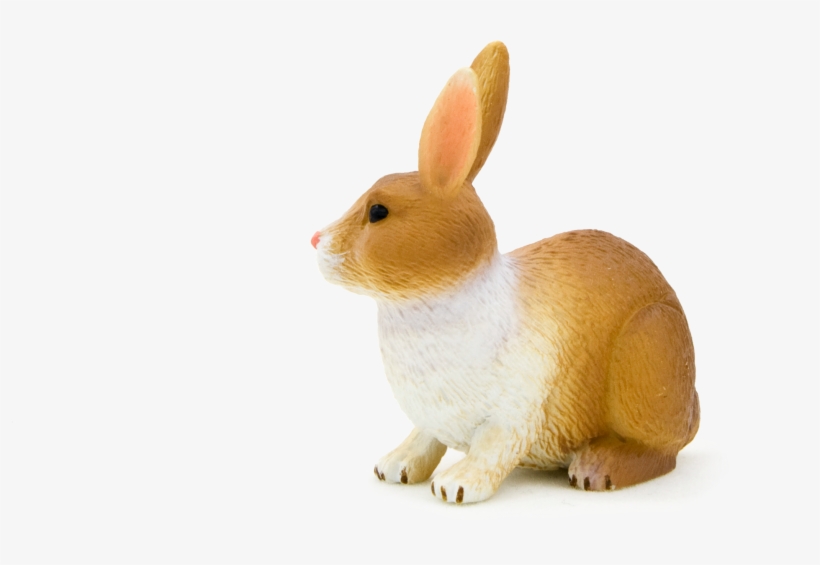 Animal Planet - Rabbit Brown And White PNG Image | Transparent PNG Free ...