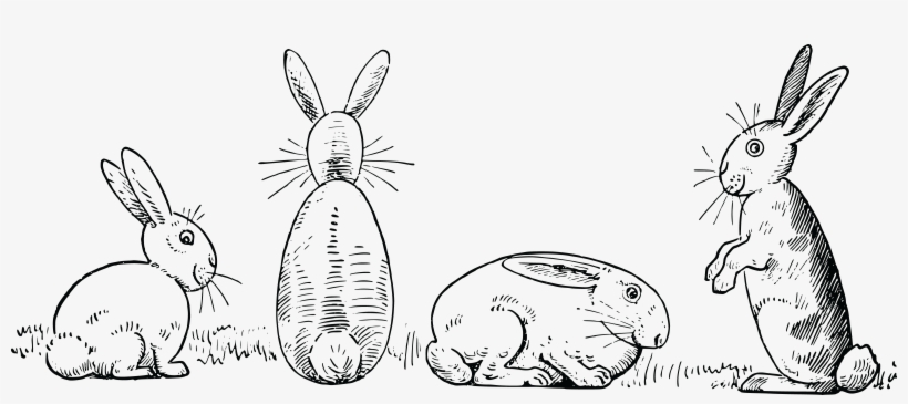 Download Free Clipart Of Rabbits - Rabbits Clipart Black And White ...