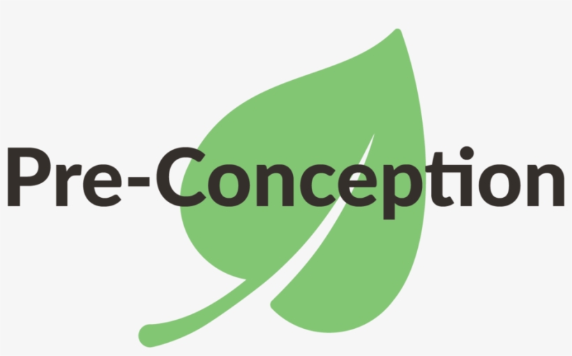 Pre-conception - Merger And Acquisition Project Plan Template PNG Image ...