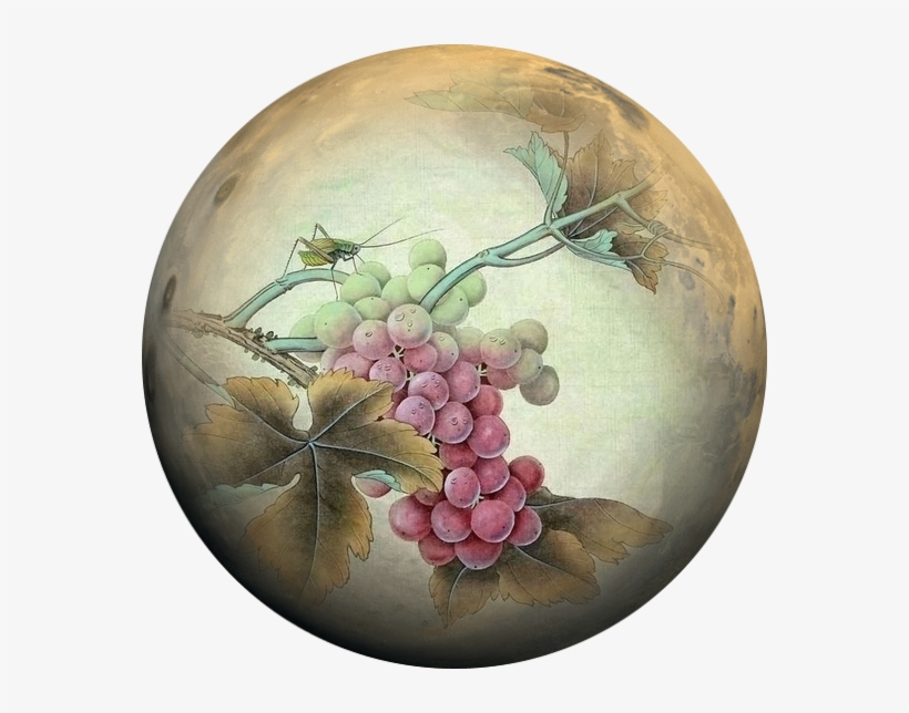 Circle %2845%29 - Seedless Fruit PNG Image | Transparent PNG Free ...