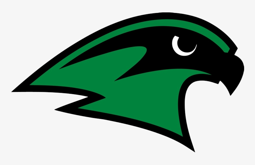 Staley Falcons - Staley High School Falcon PNG Image | Transparent PNG ...