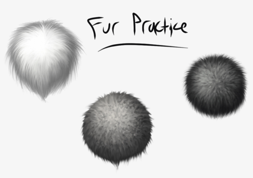 28 Collection Of Fur Drawing Texture - Fur Texture Drawing PNG Image ...