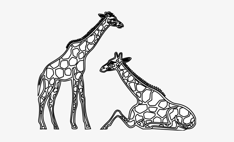 Banner Royalty Free Download Giraffe Clipart Black - Line Drawings Of ...
