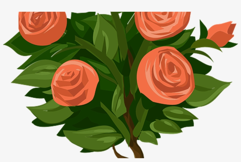 Rose Flower Tree Png | Best Flower Site