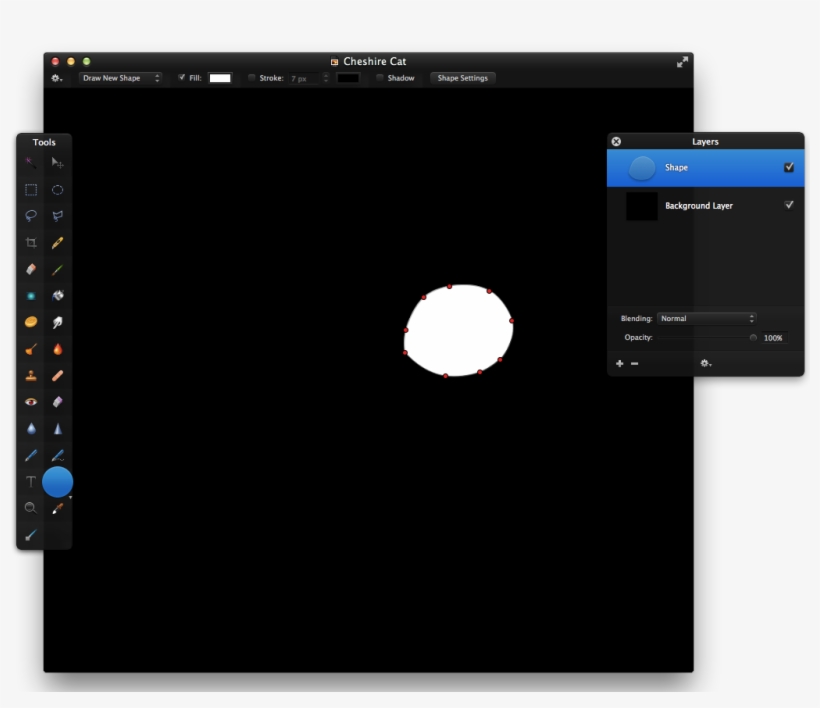 Step - Cat PNG Image | Transparent PNG Free Download on SeekPNG