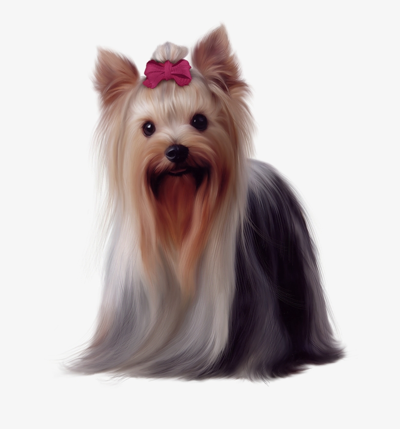 Graphic Transparent Stock Painted Yorkshire Png Picture - Love Yorkie ...