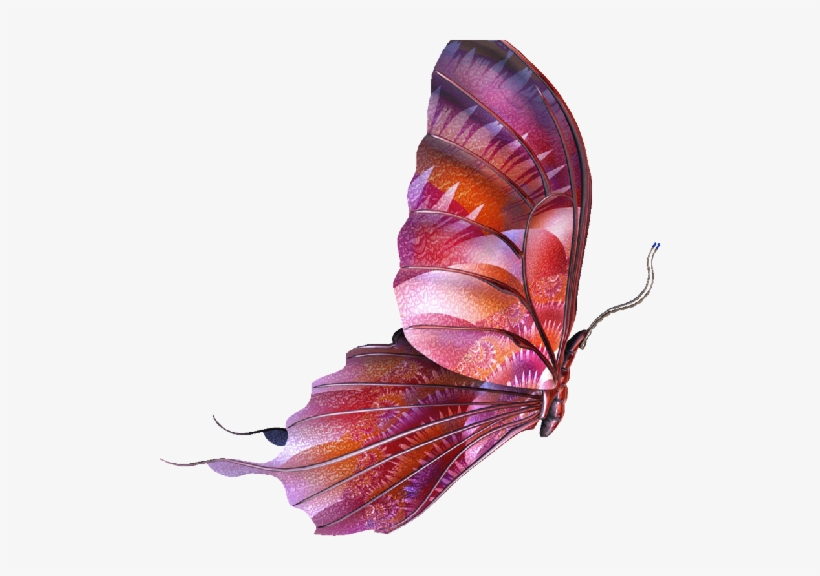 Butterfly Psd