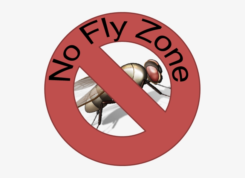 Download No Fly Zone - Flies Around The Food | Transparent PNG Download ...