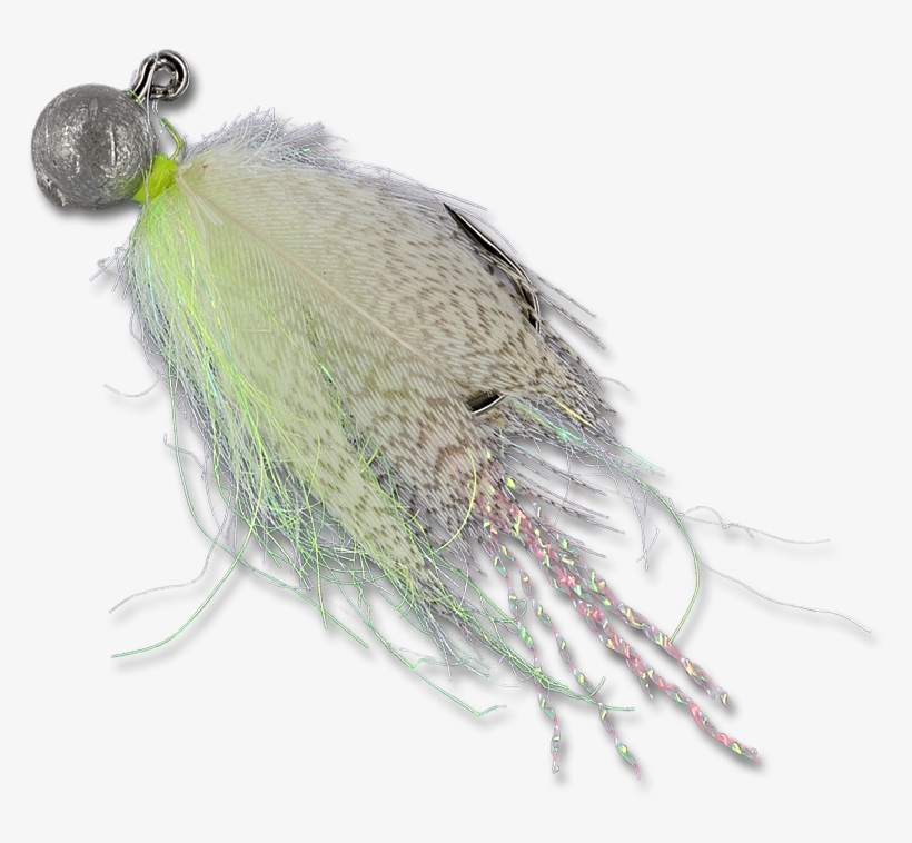 Float N Flies - Insect PNG Image | Transparent PNG Free Download on SeekPNG