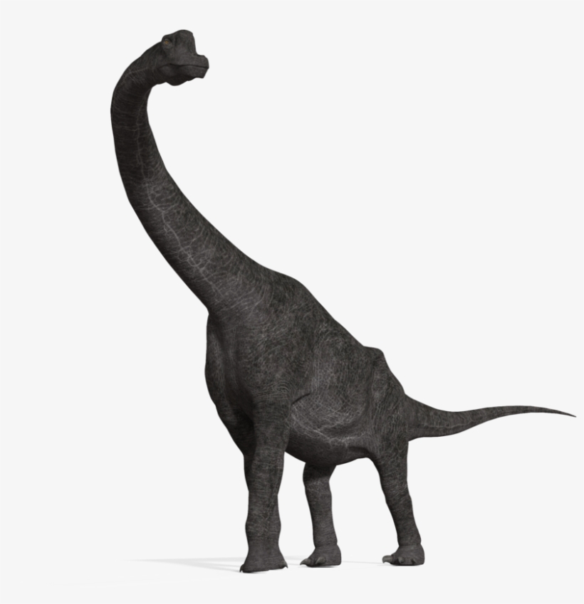 Brachiosaurus Png PNG Image | Transparent PNG Free Download on SeekPNG