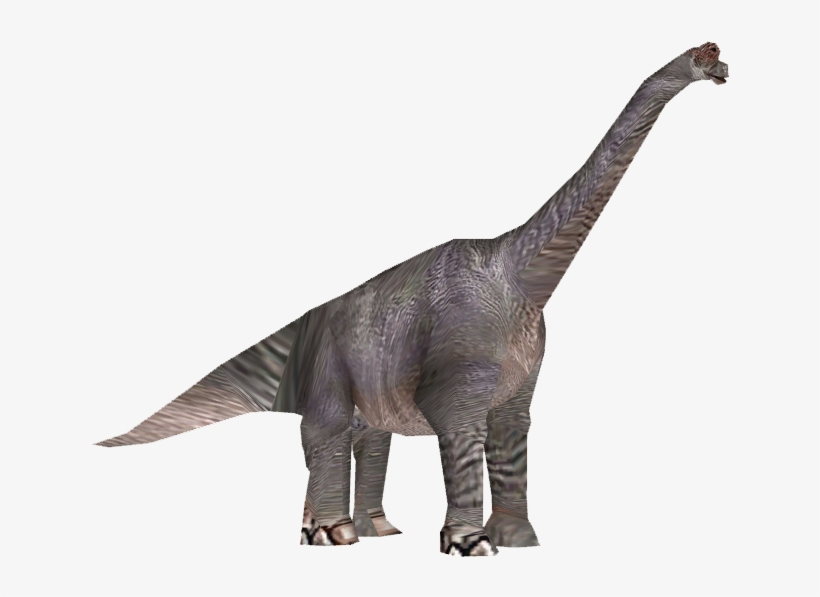 Brachiosaurus - Wiki PNG Image | Transparent PNG Free Download on SeekPNG