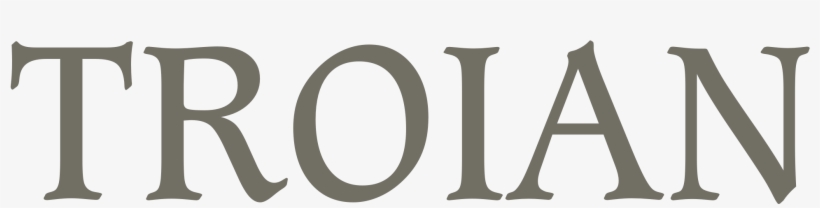 Toran Name PNG Image | Transparent PNG Free Download on SeekPNG