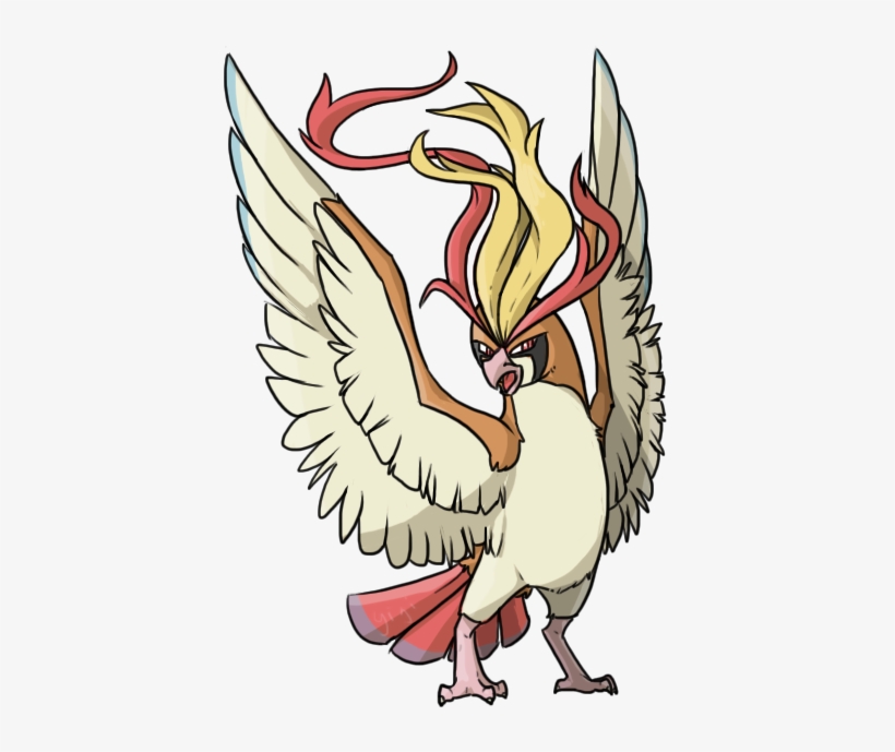 Half Mega Pidgeot - Cartoon PNG Image | Transparent PNG Free Download ...