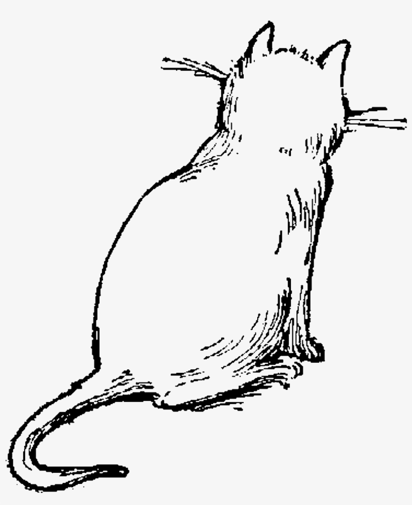 Each Cat Has Been Drawn With A Triangle Shape, So They - Drawing PNG ...