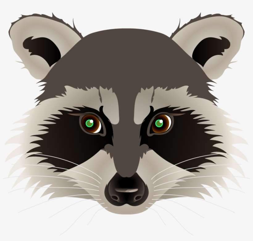 My Second Attempt At Drawing One Raccoon Character's - Raccoon Drawings ...