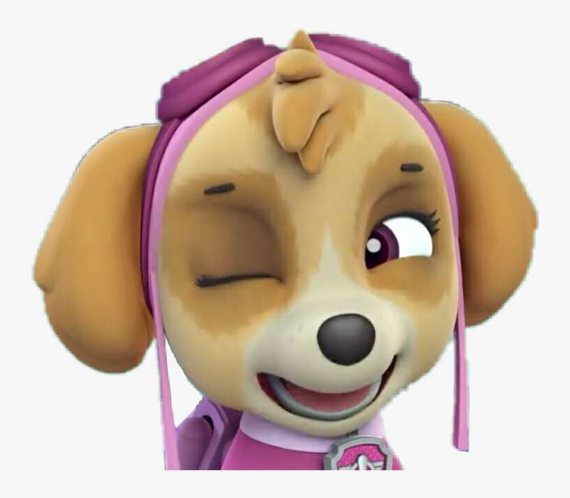 Paw Patrol Picsart Skye Stickers PNG Image | Transparent PNG Free ...