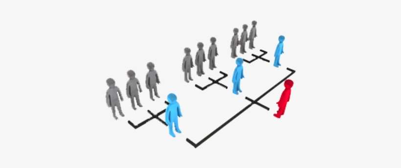 All U - Organizational Structure Transparent PNG Image | Transparent ...