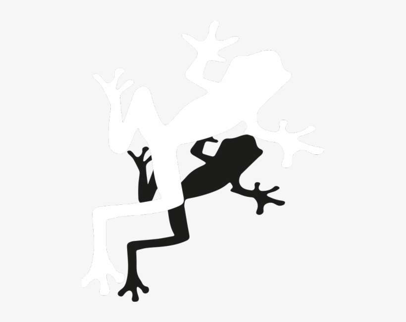 White Frog Shadow - Bufo PNG Image | Transparent PNG Free Download on ...