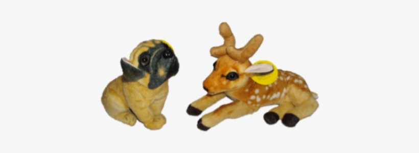 Dobby Deer - Deer PNG Image | Transparent PNG Free Download on SeekPNG