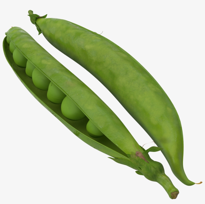 Green Bean Transparent Background PNG Image | Transparent PNG Free ...