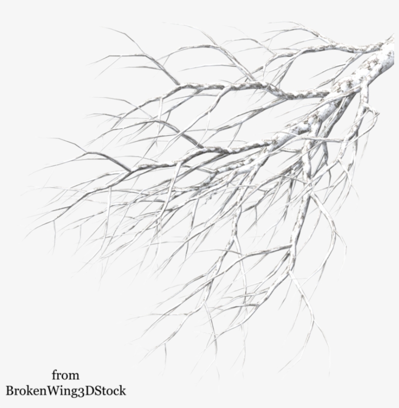 Download 50, Winter Landscape - Winter Tree Branch Png | Transparent ...