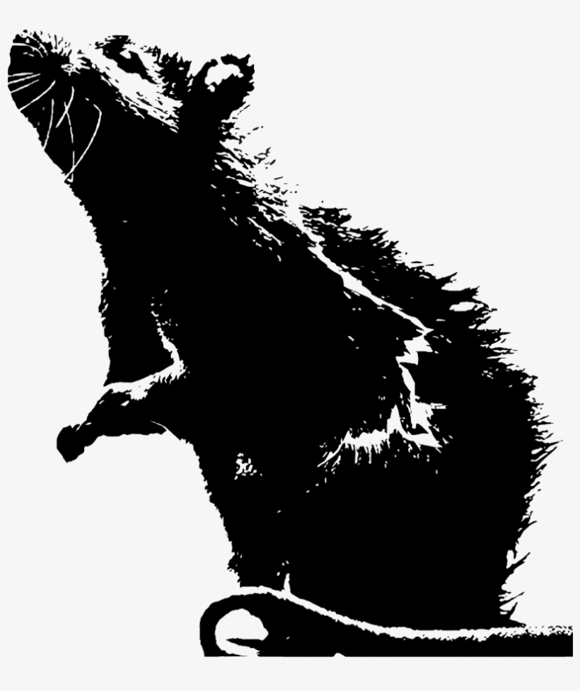 Rat Pack Payaso - Rat Avatars PNG Image | Transparent PNG Free Download ...