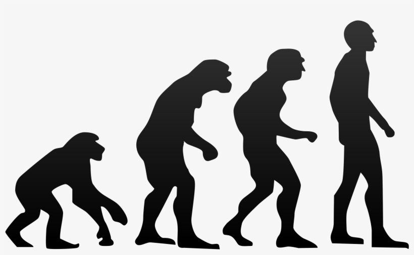 Evolution Transparent Silhouette Clip Art Transparent - Evolution Of ...