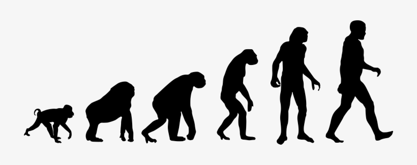 Evolution Human PNG Image | Transparent PNG Free Download on SeekPNG