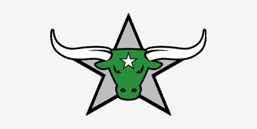 School Logo Image - Mid Fairfield Ct Stars Logo PNG Image | Transparent ...