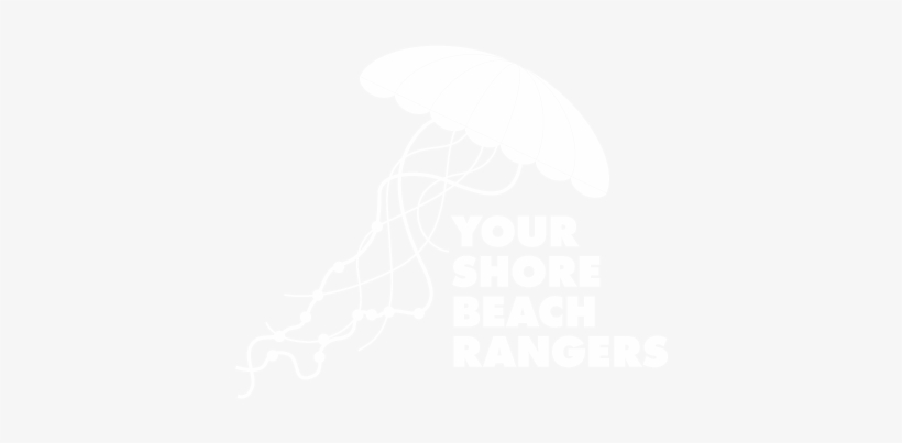 Beach Rangers Beach Rangers - Your Shore Beach Rangers PNG Image ...