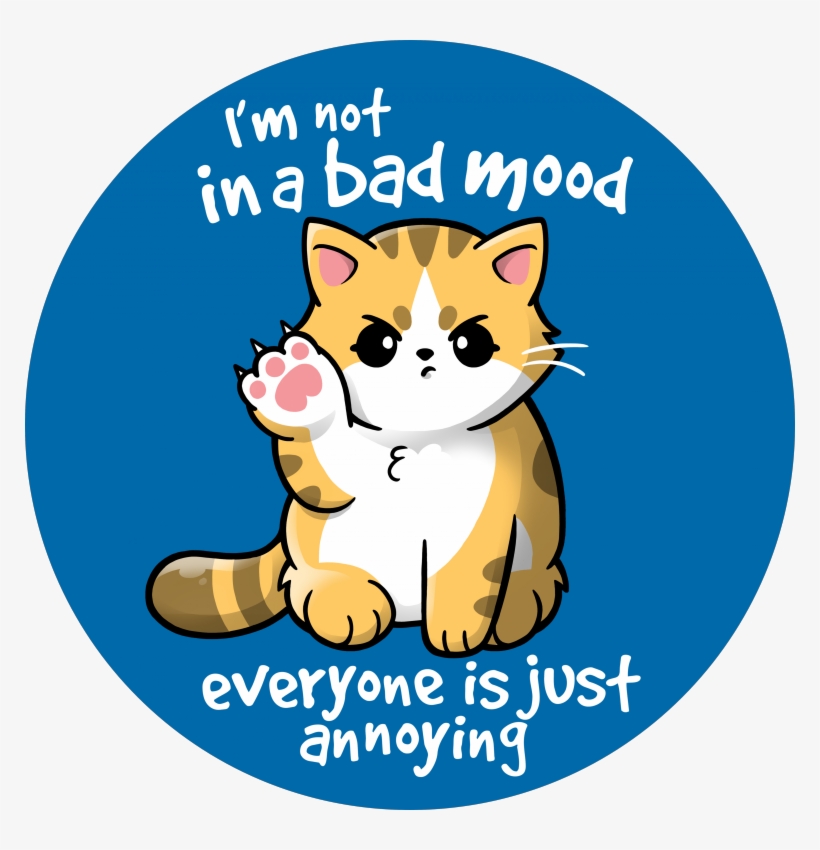 Bad Mood Cat - Bad Mood PNG Image | Transparent PNG Free Download on ...