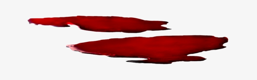 Download Blood Puddle Png | Transparent PNG Download | SeekPNG