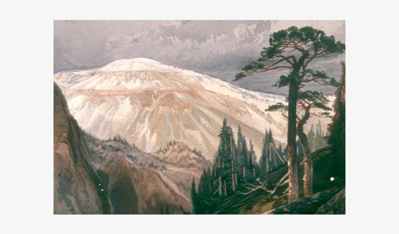 Topmost Tree Line - Yellowstone National Park, Tower Falls PNG Image ...