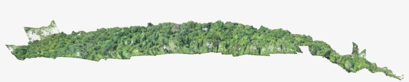 Download Aerial Surveying And Mapping Tulsa Oklahoma - Aerial Tree Line ...
