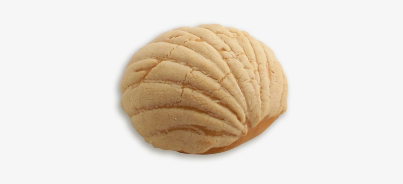 Bread Drawing Concha - Concha Bread Png PNG Image | Transparent PNG ...