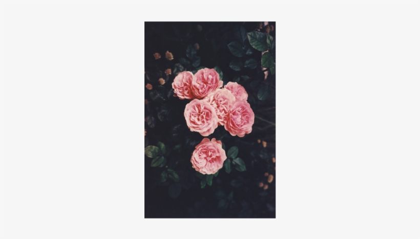 Handtown - Flowers Pink Tumblr Lockscreen PNG Image | Transparent PNG ...