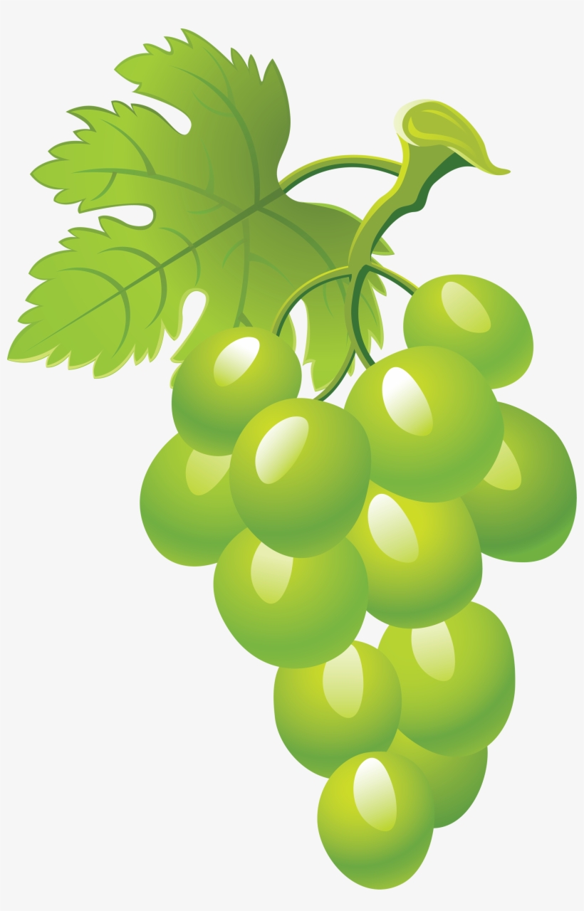 Grape Png Image - Grapes Clipart Png PNG Image | Transparent PNG Free ...