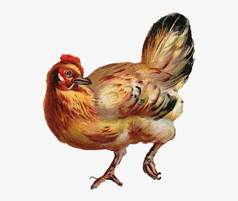 A Few Random Images, Just For Fun - Clip Art PNG Image | Transparent ...