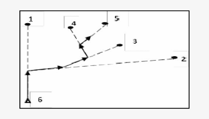 Schematic Diagram That Shows The Zigzag Path That Firefly - Firefly ...