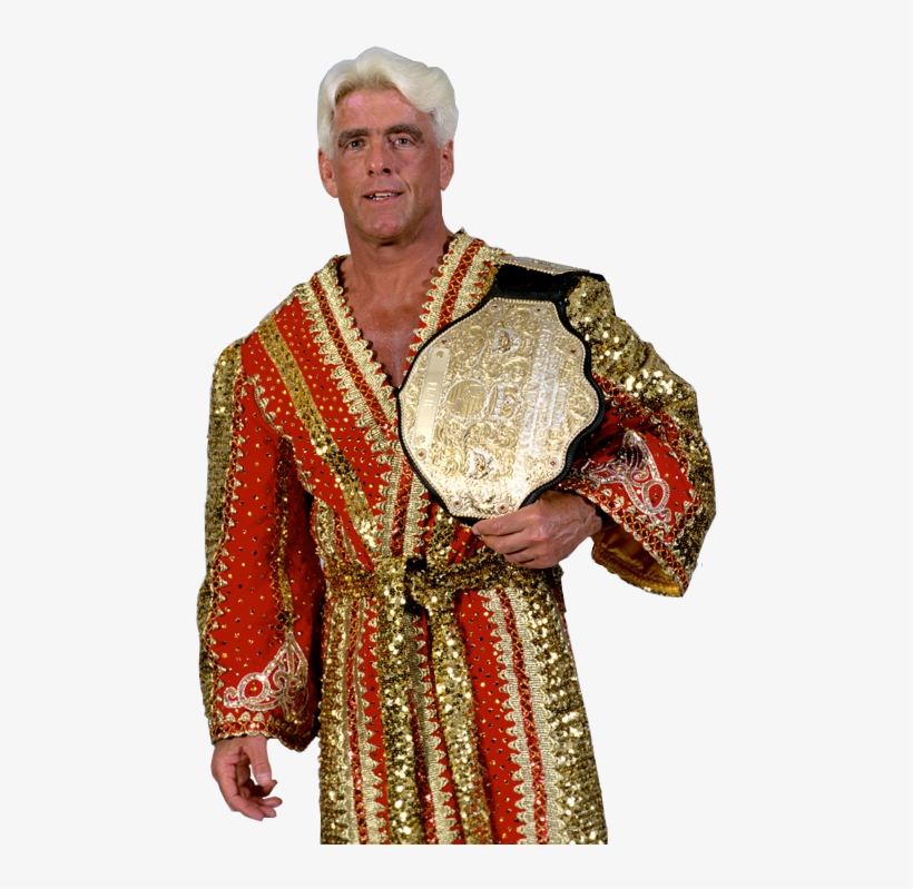 Picture - Ric Flair Wcw Champion PNG Image | Transparent PNG Free ...