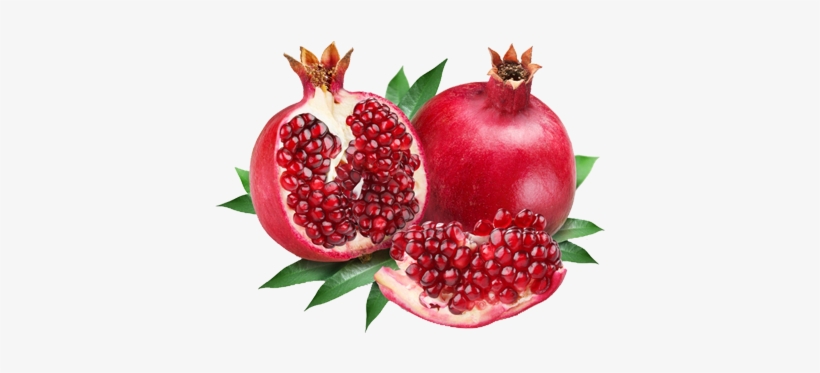 Pomegranate Png Image - Pome Granate PNG Image | Transparent PNG Free ...